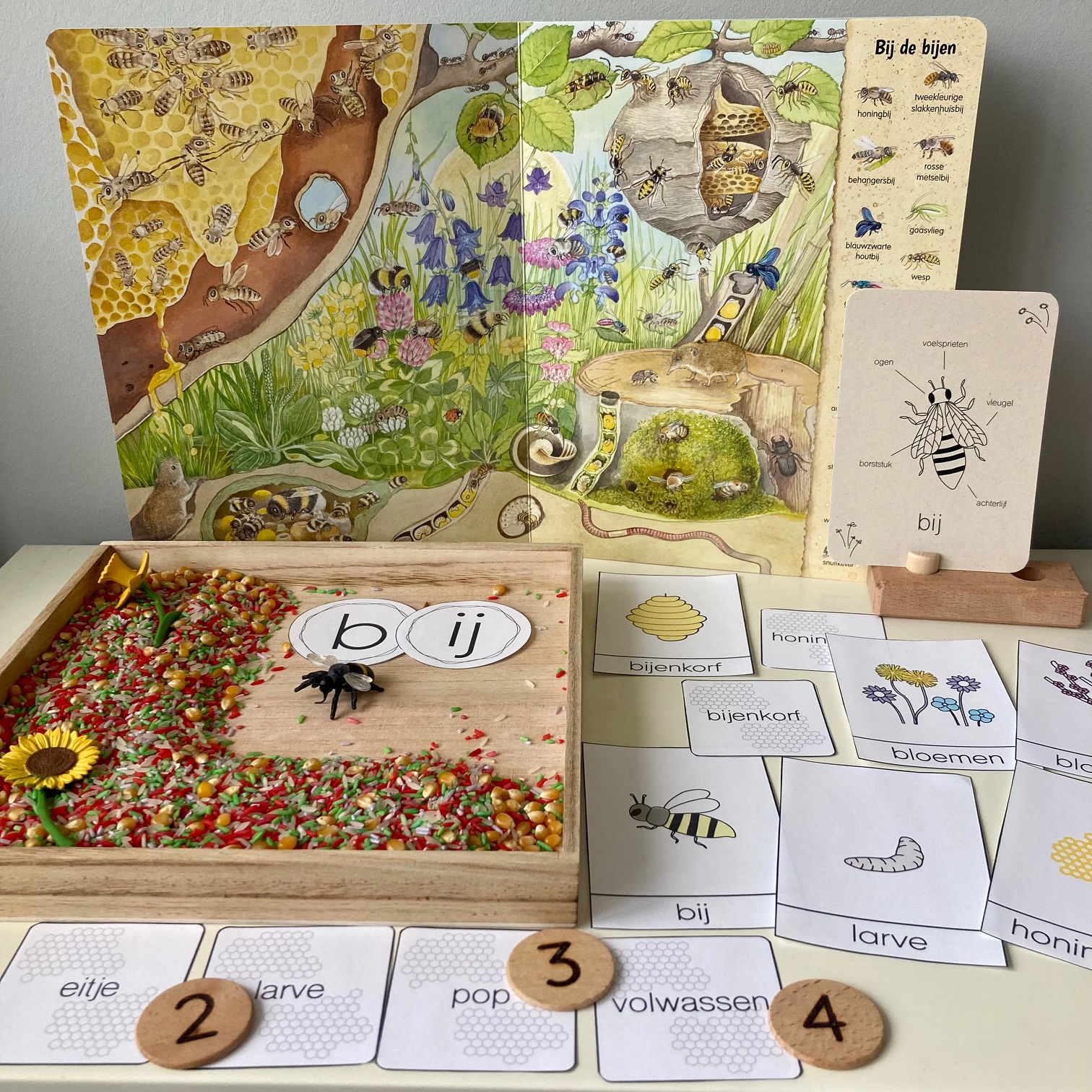 'Zo groeit een bij' 12-delige bundel (directe download) - Wildebras